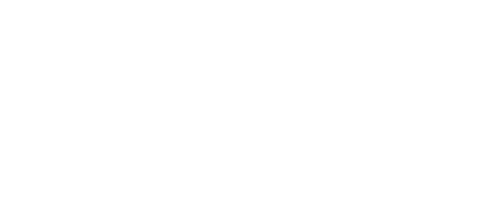 Portugal Day | Amália Capsule Collection by João Rôlo